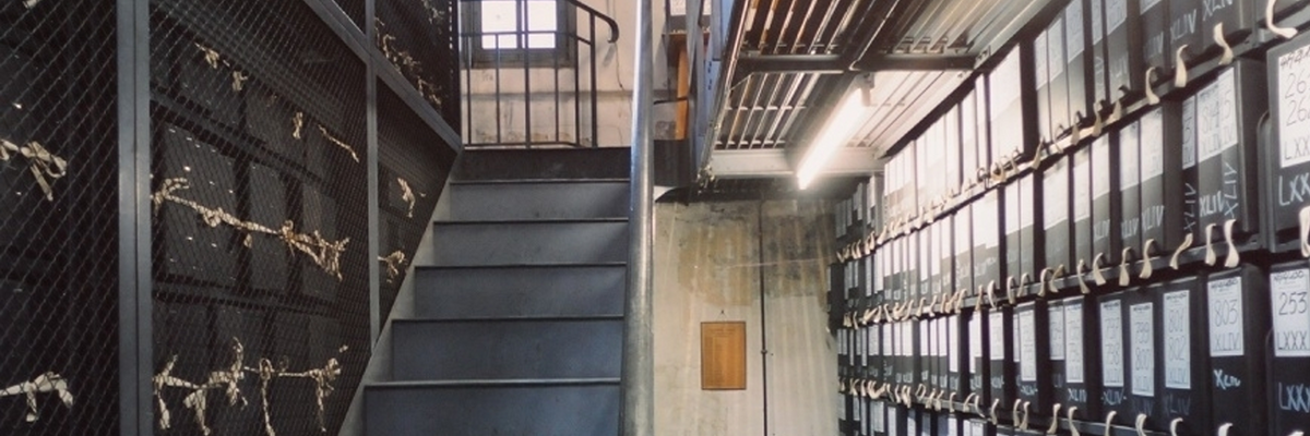 Found MUJI | Storage Boxes | MUJI USA