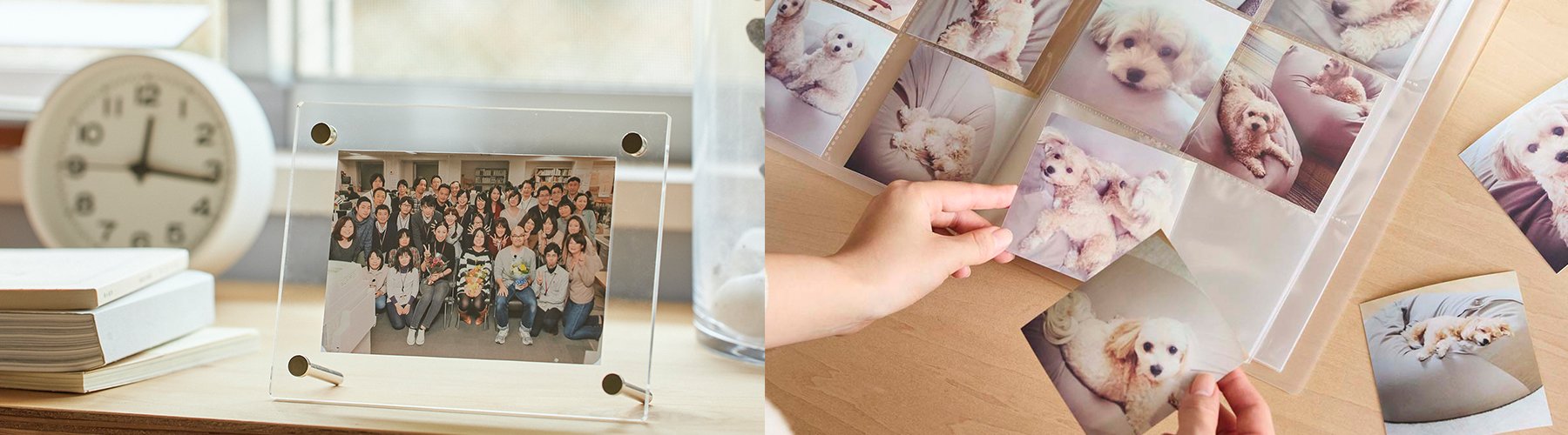 Albums & Photo Frame | Stationery | MUJI USA