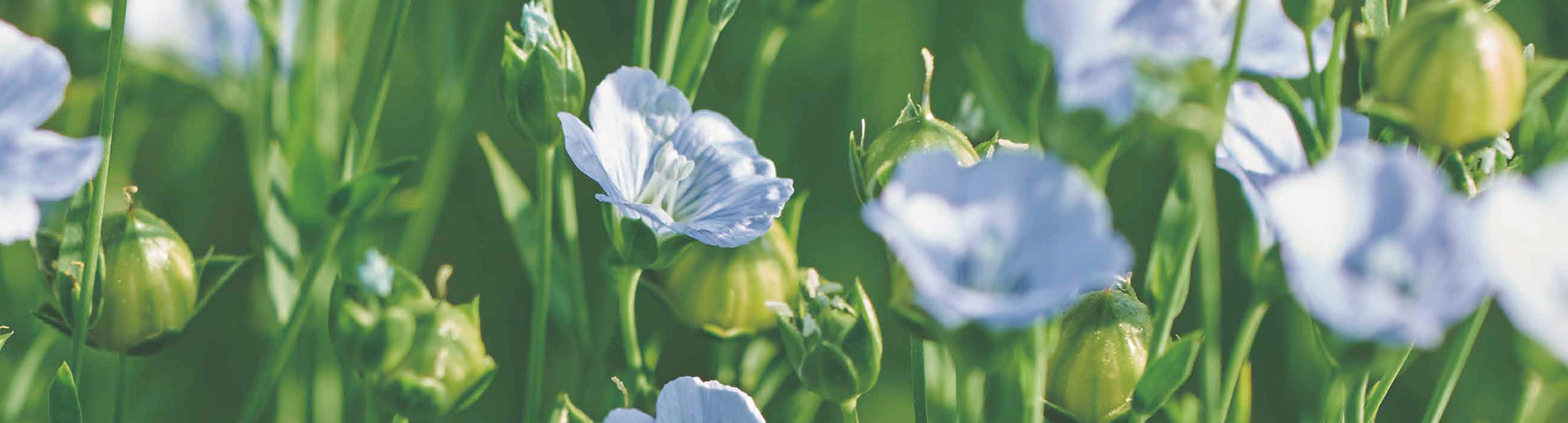 Best Seller Products | MUJI USA